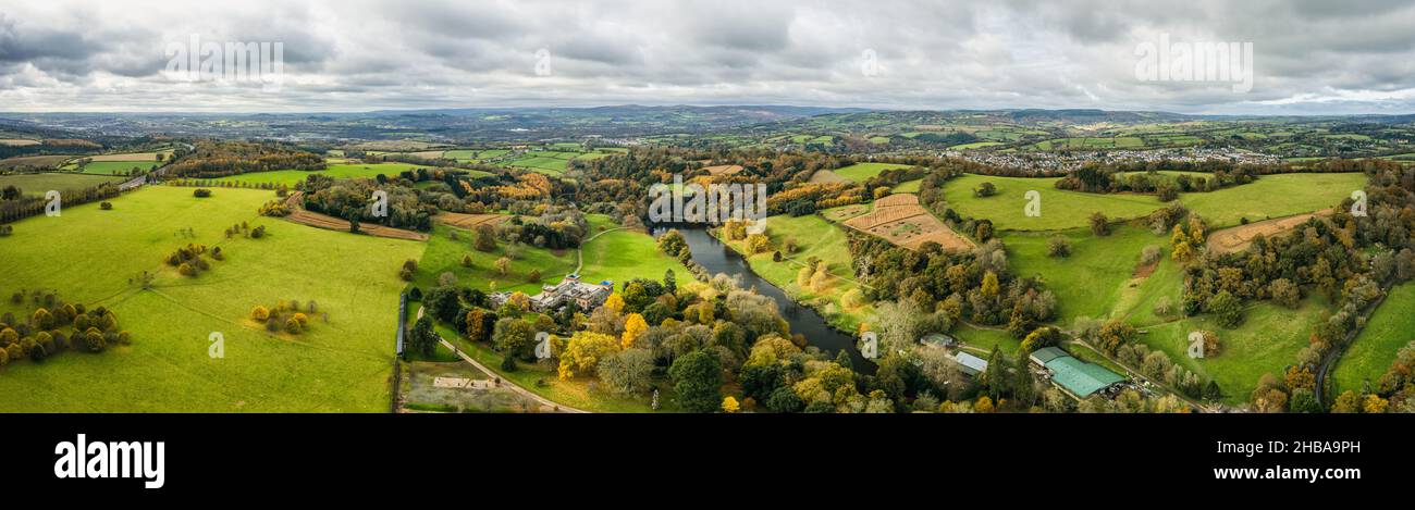 Aerial view of oak trees uk hi-res stock photography and images - Alamy