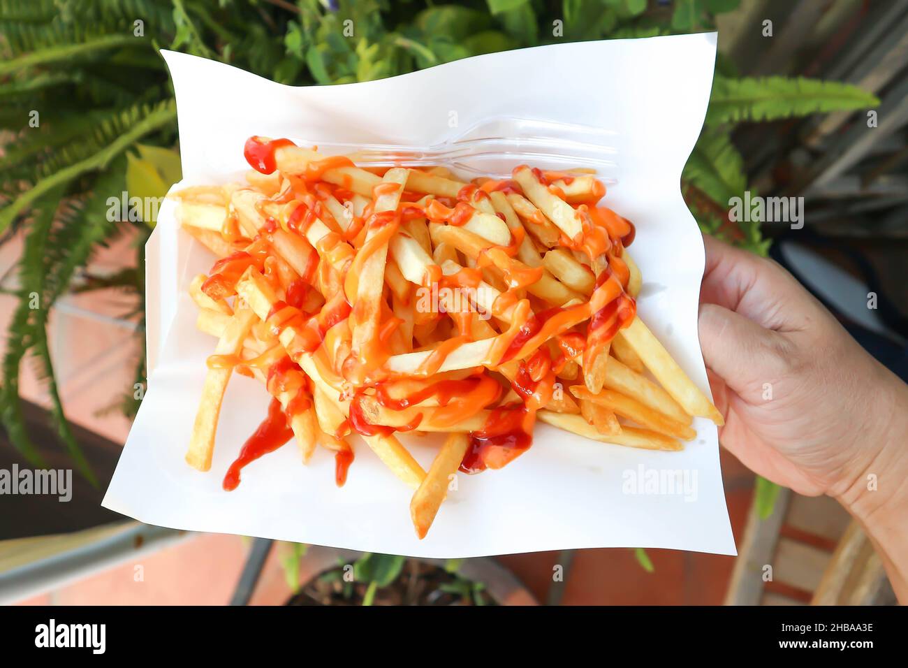French fries or fried potato ,cheese fries or french fried Stock Photo ...