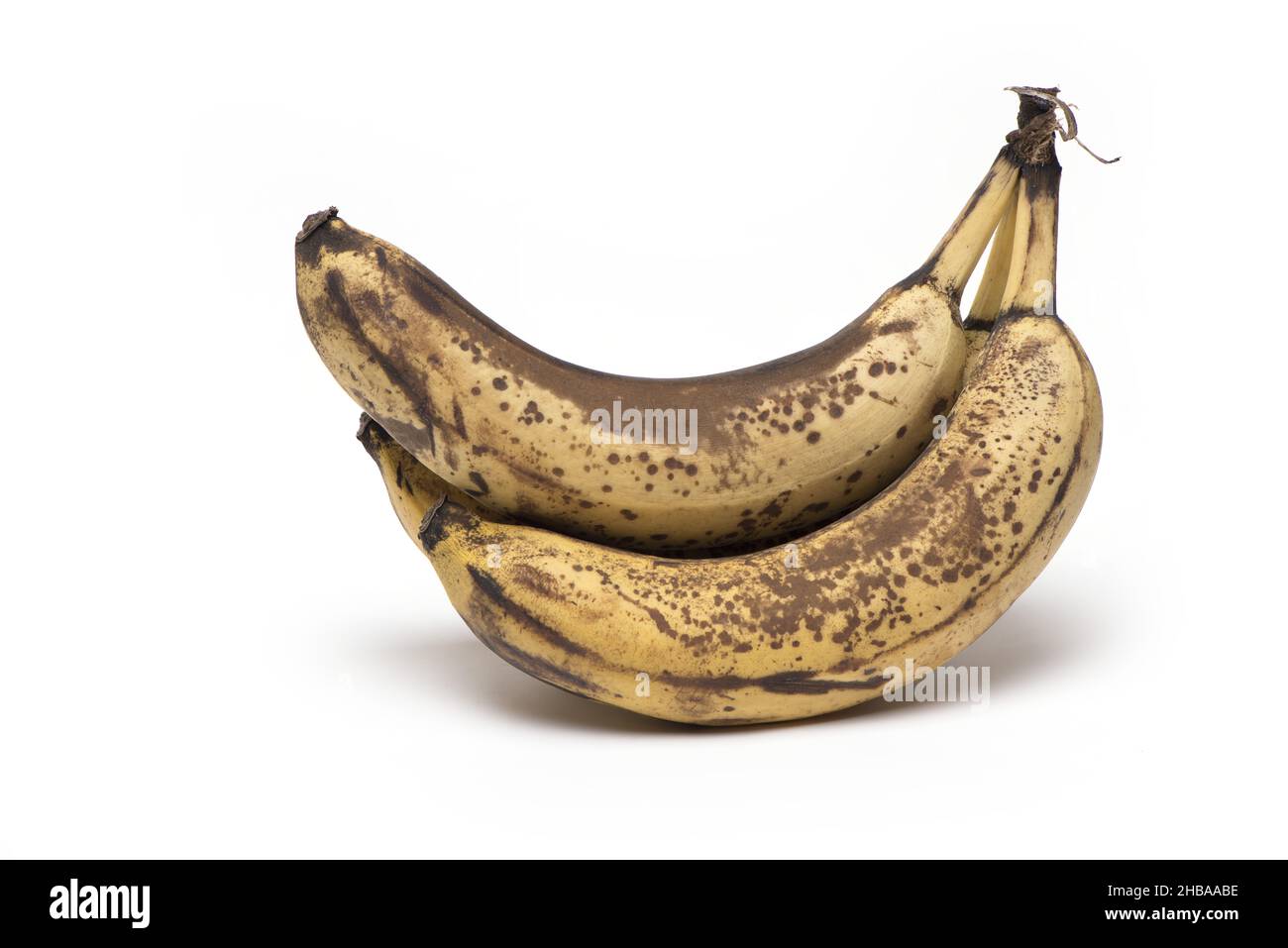 Close up of three overripe very ripe and partly already brown bananas ...