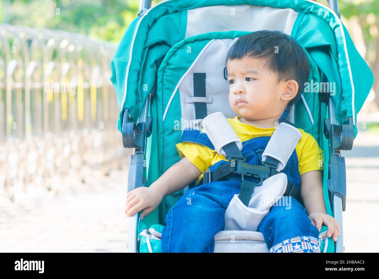 Little boy sitting in stroller travel in city park morning light Stock ...