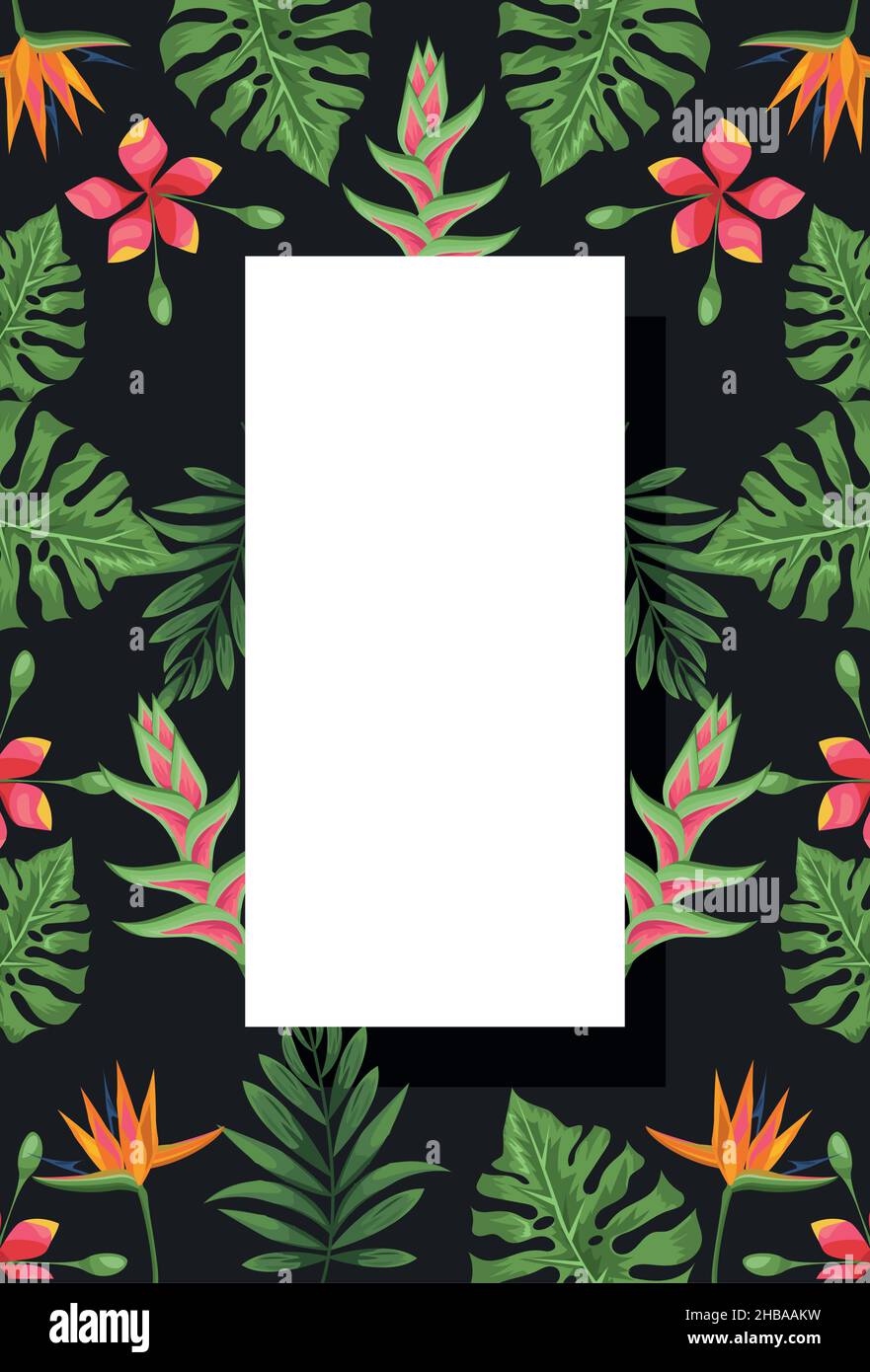 exotic plants rectangle frame Stock Vector Image & Art - Alamy