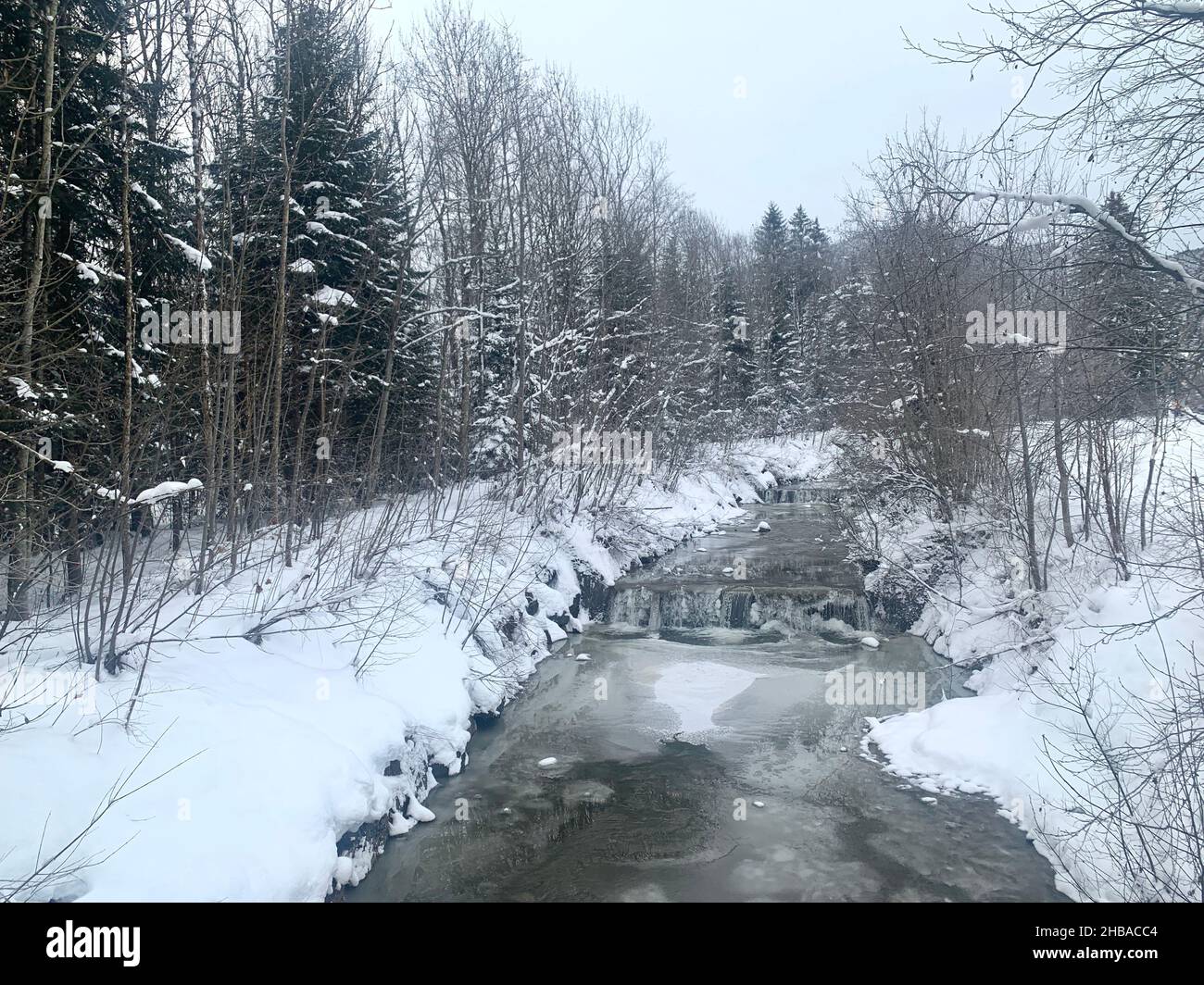 Winter landscape with snow covering tree branches. Brook flowing in the ...