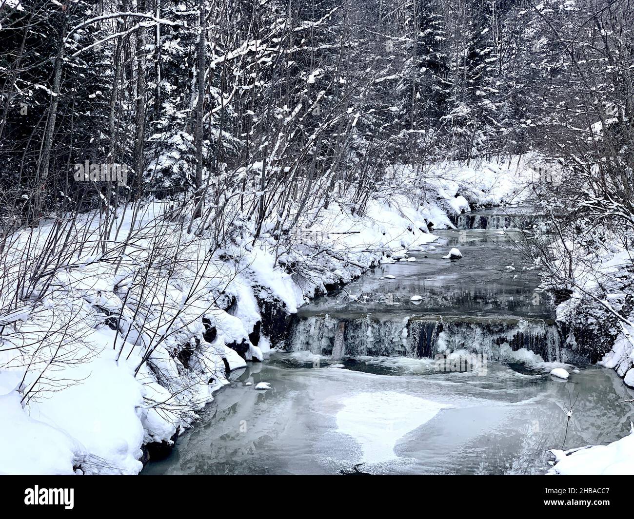 Winter landscape with snow covering tree branches. Brook flowing in the middle is partly frozen ...