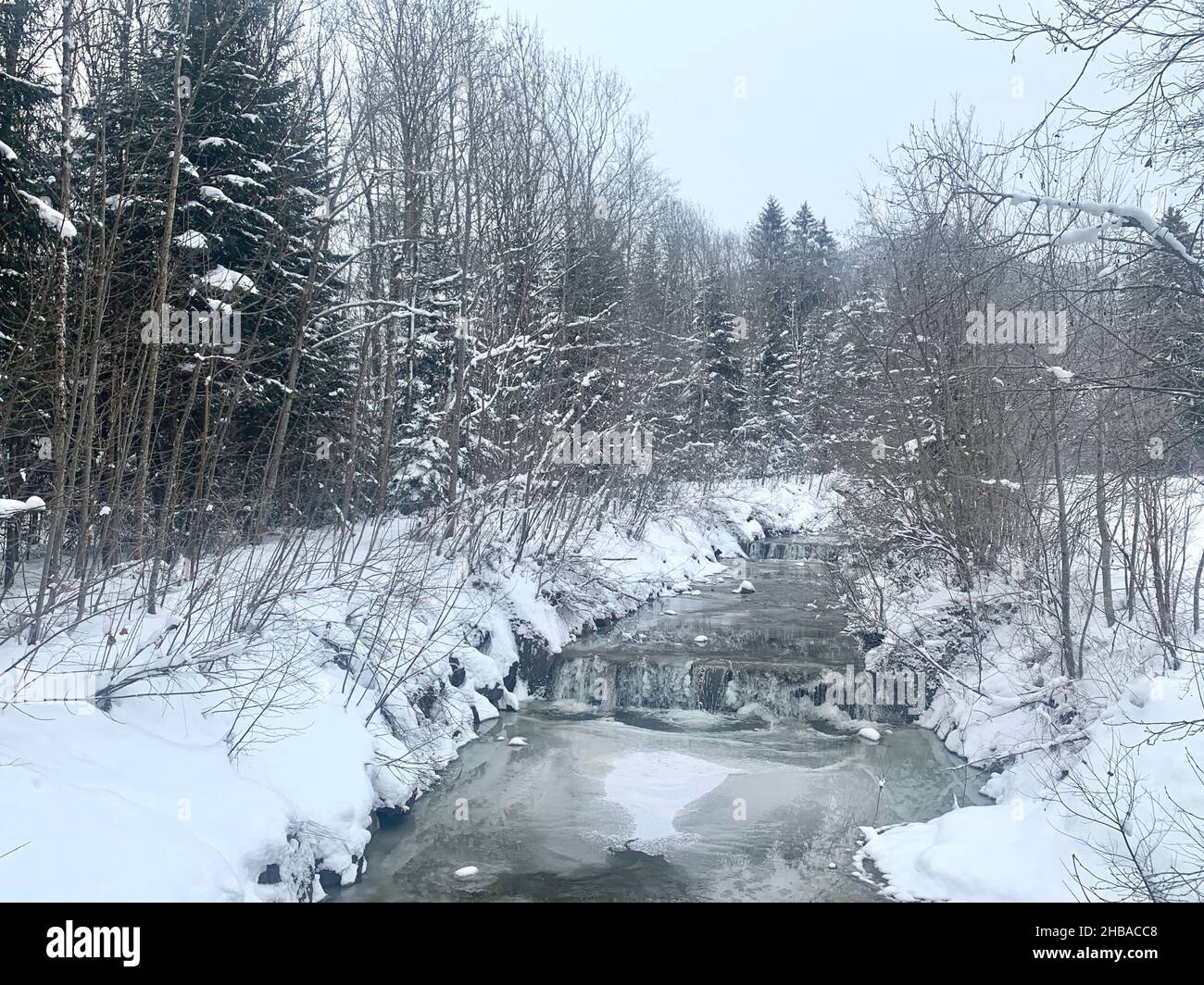 Winter landscape with snow covering tree branches. Brook flowing in the ...