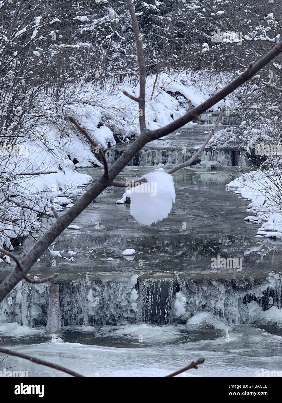 Winter landscape with snow covered tree branches. Brook flowing in the ...