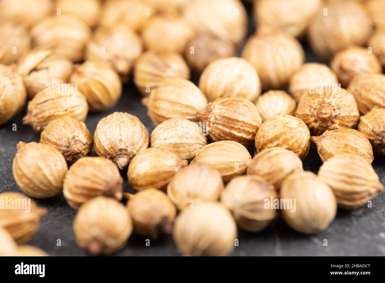 Close up view of true edible spices and seeds: Details of coriander seeds ( Coriandrum sativum ...