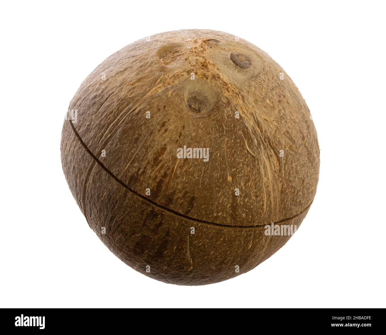 real edible food and drink: side view of whole precutted coconut ...