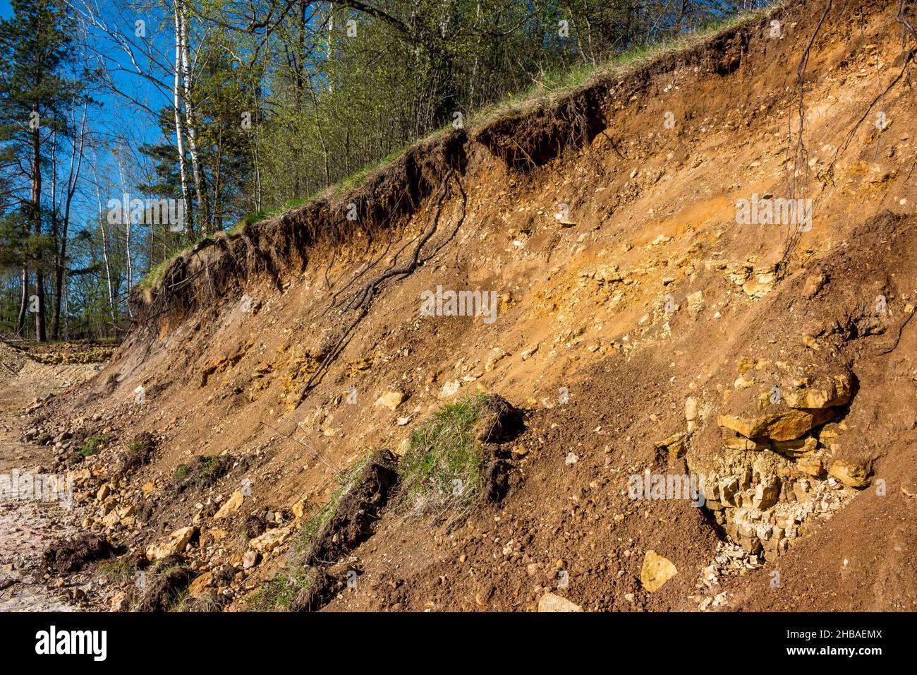 Undercutting High Resolution Stock Photography and Images - Alamy