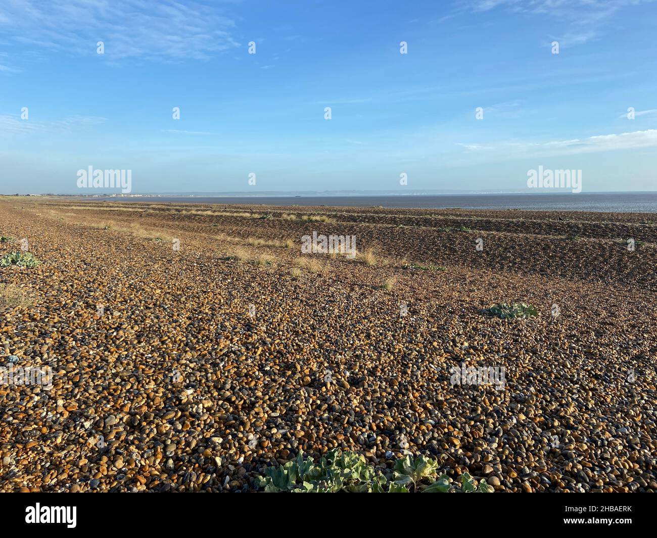 Dungeness, Kent, UK- 10.20.2021: Barren Dungeness path landscape on the ...