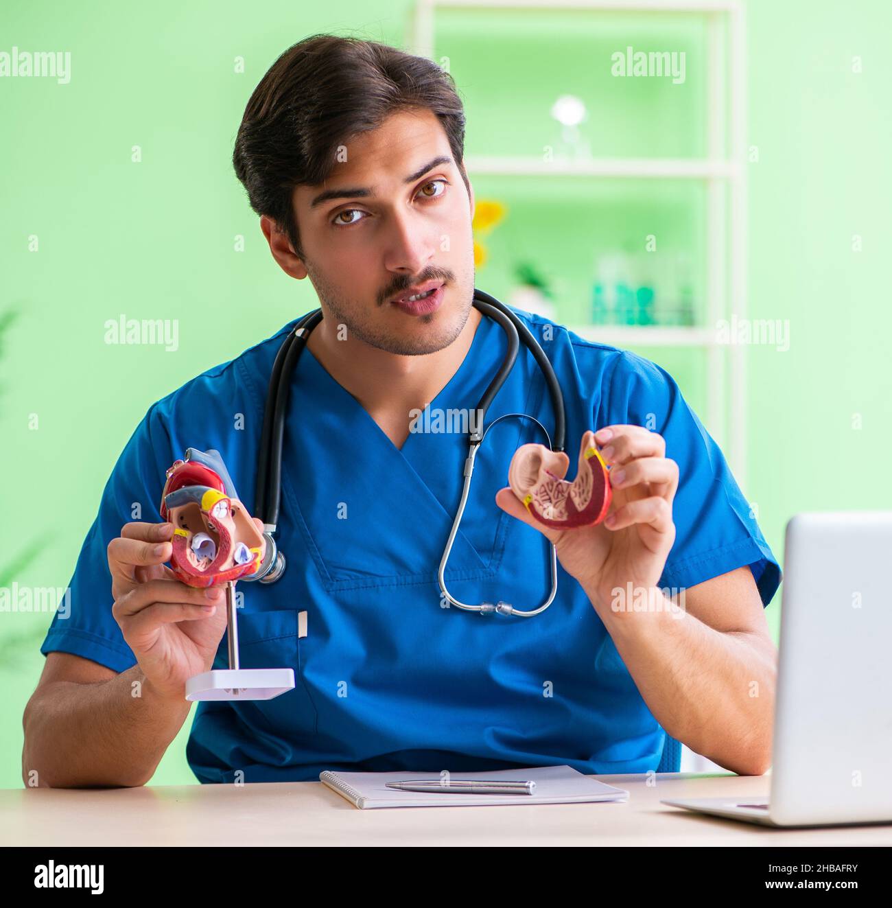 The doctor student explaining heart problems Stock Photo - Alamy