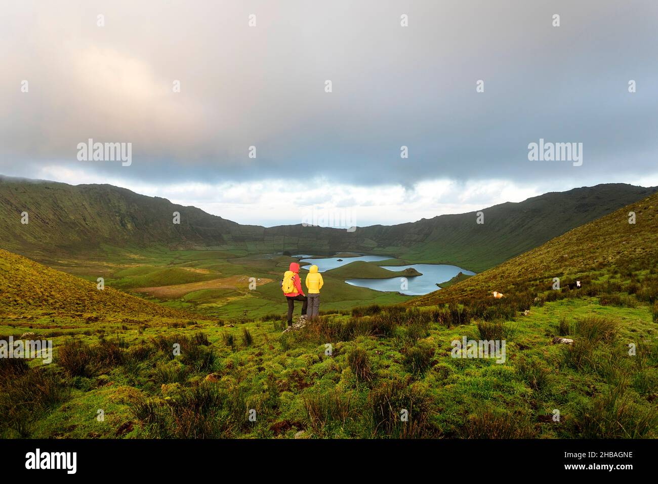 Sunrise view to Caldeirao crater, Corvo island, Azores, Portugal Stock ...