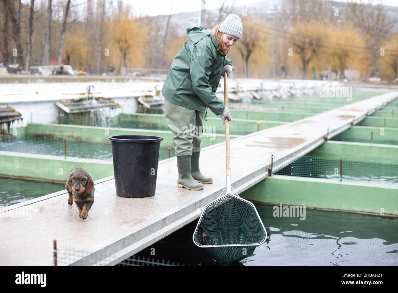Female catching fish from reservoir on sturgeon farm Stock Photo - Alamy