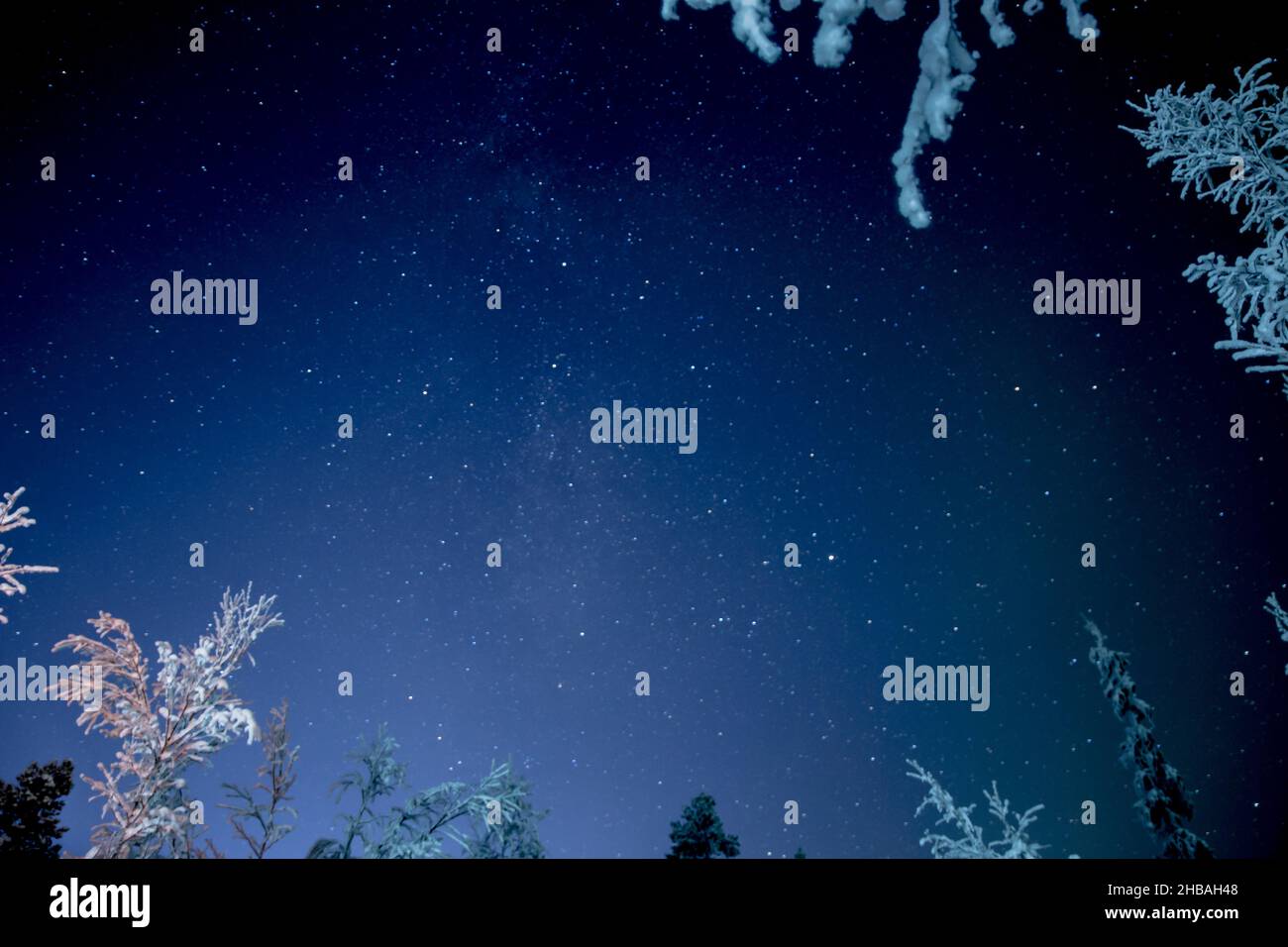 Stars over the snow Stock Photo - Alamy