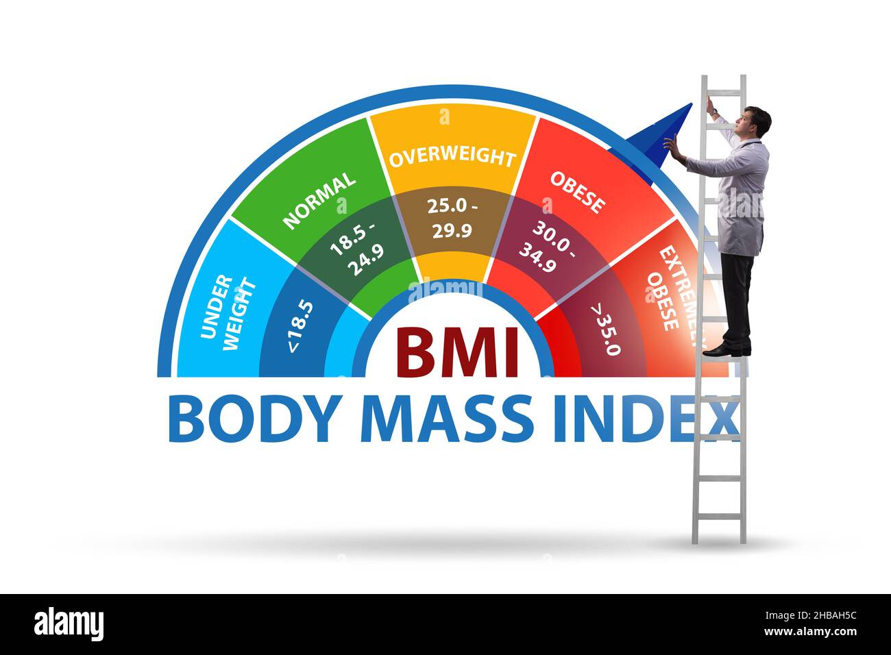 Concept of BMI - body mass index with the dietitian Stock Photo - Alamy