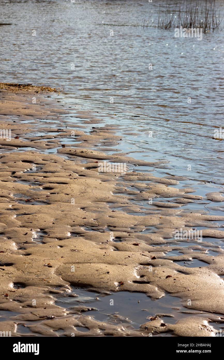 Sandy river bank after the flood, puddles on the sandy beach after low ...