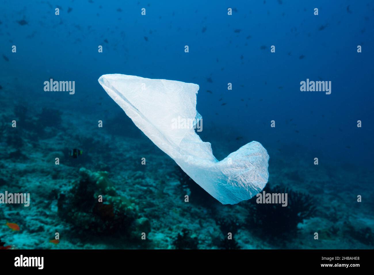 Plastic bag floating over Reef, North Male Atoll, Indian Ocean ...