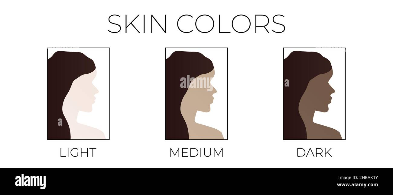 Skin Colors with Light, Medium and Dark Skin on Woman Face Stock Vector ...