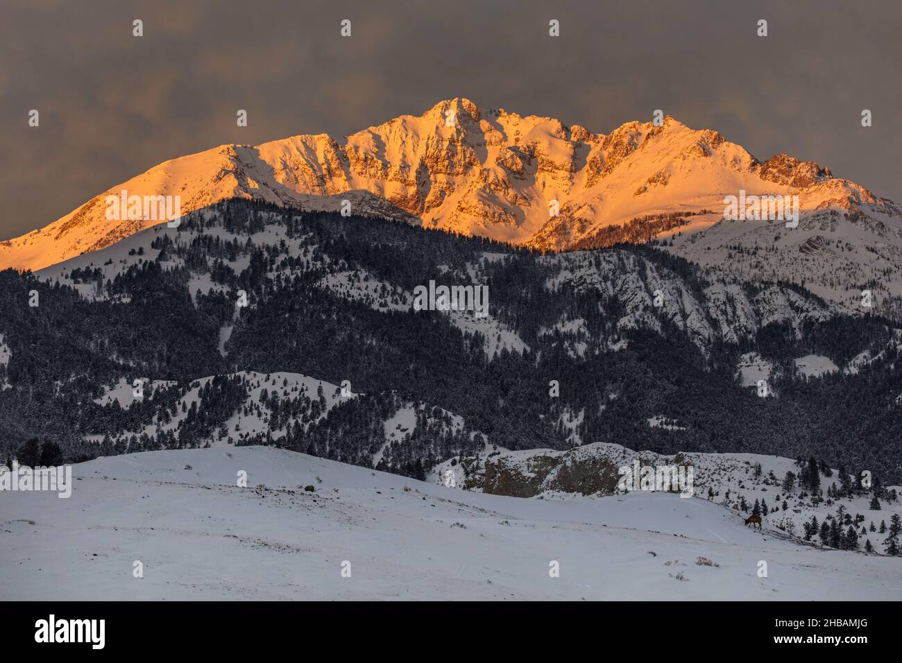Morning light on Electric Peak, part of the Gallatin Range. Yellowstone ...