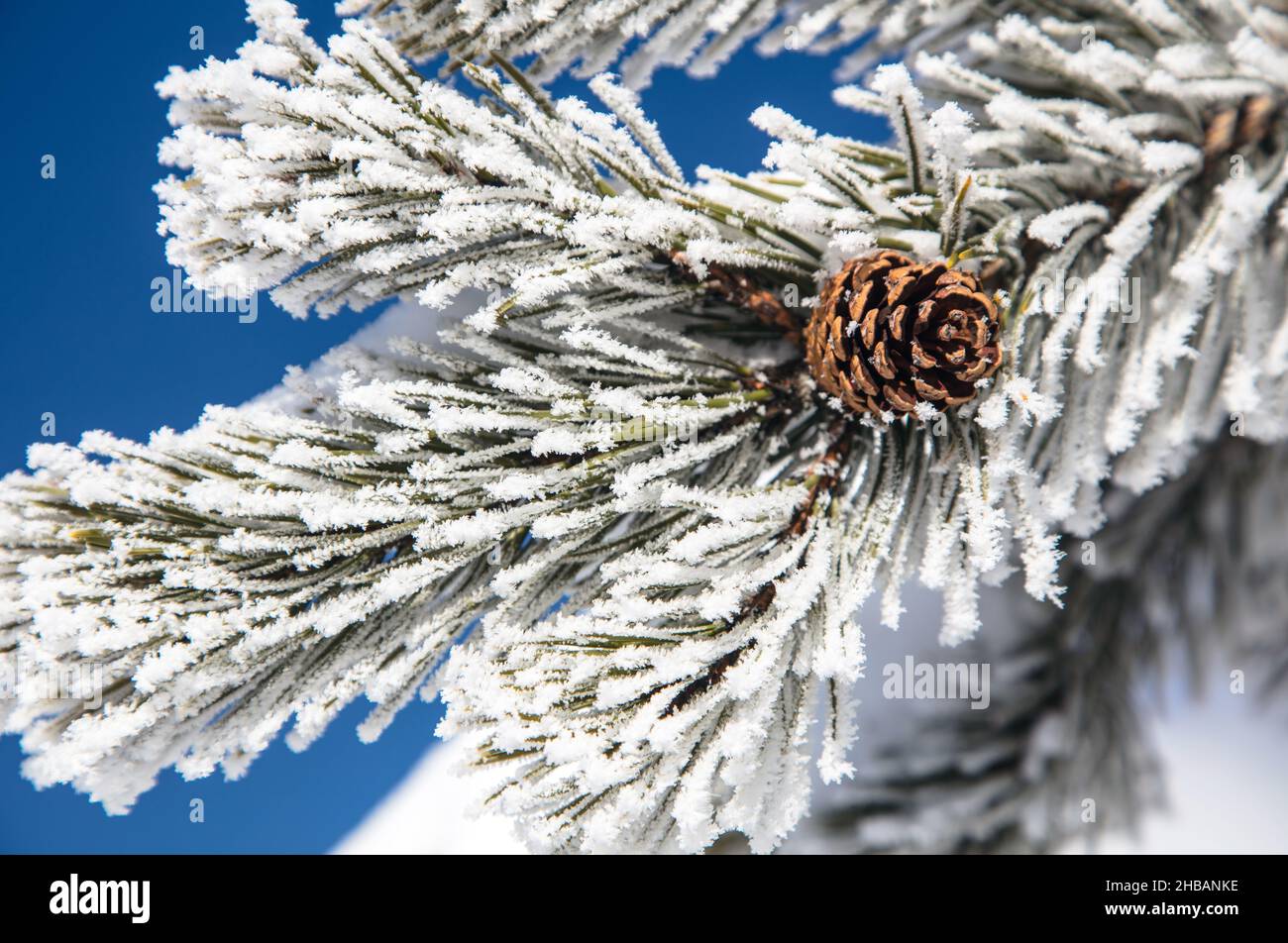 142mb8bit hi-res stock photography and images - Alamy