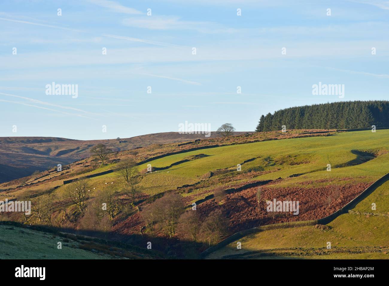 Haworth Moor, sunny Winter's day, Bronte Country, West Yorkshire Stock ...