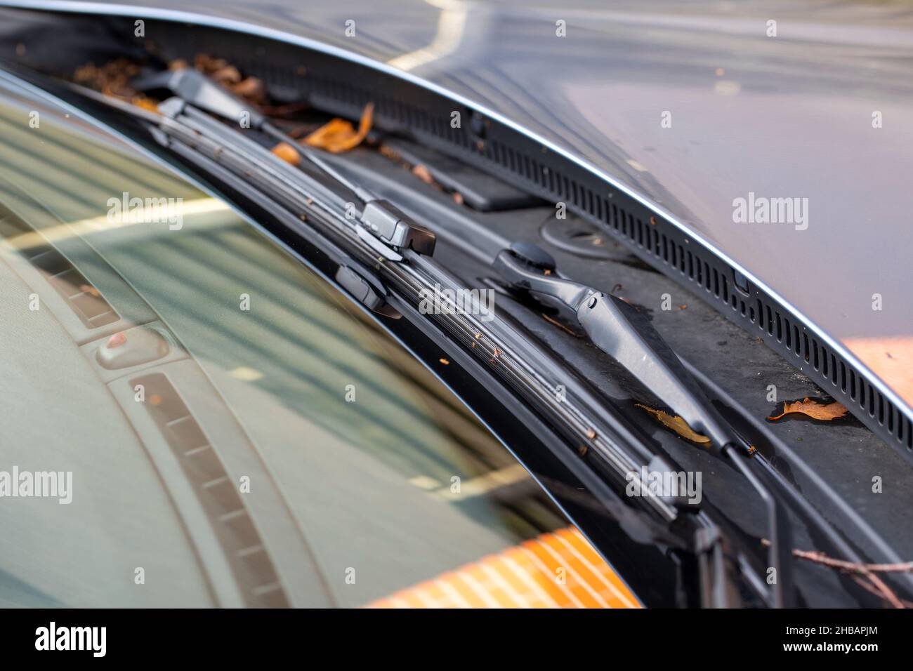 A close up portrait of a windshield wiper of a car standing at its ...