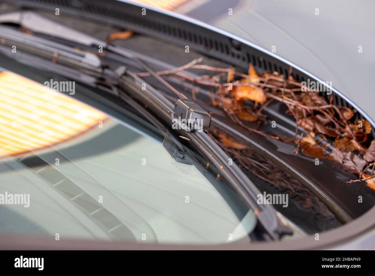 A close up portrait of a windshield wiper of a car standing at its ...
