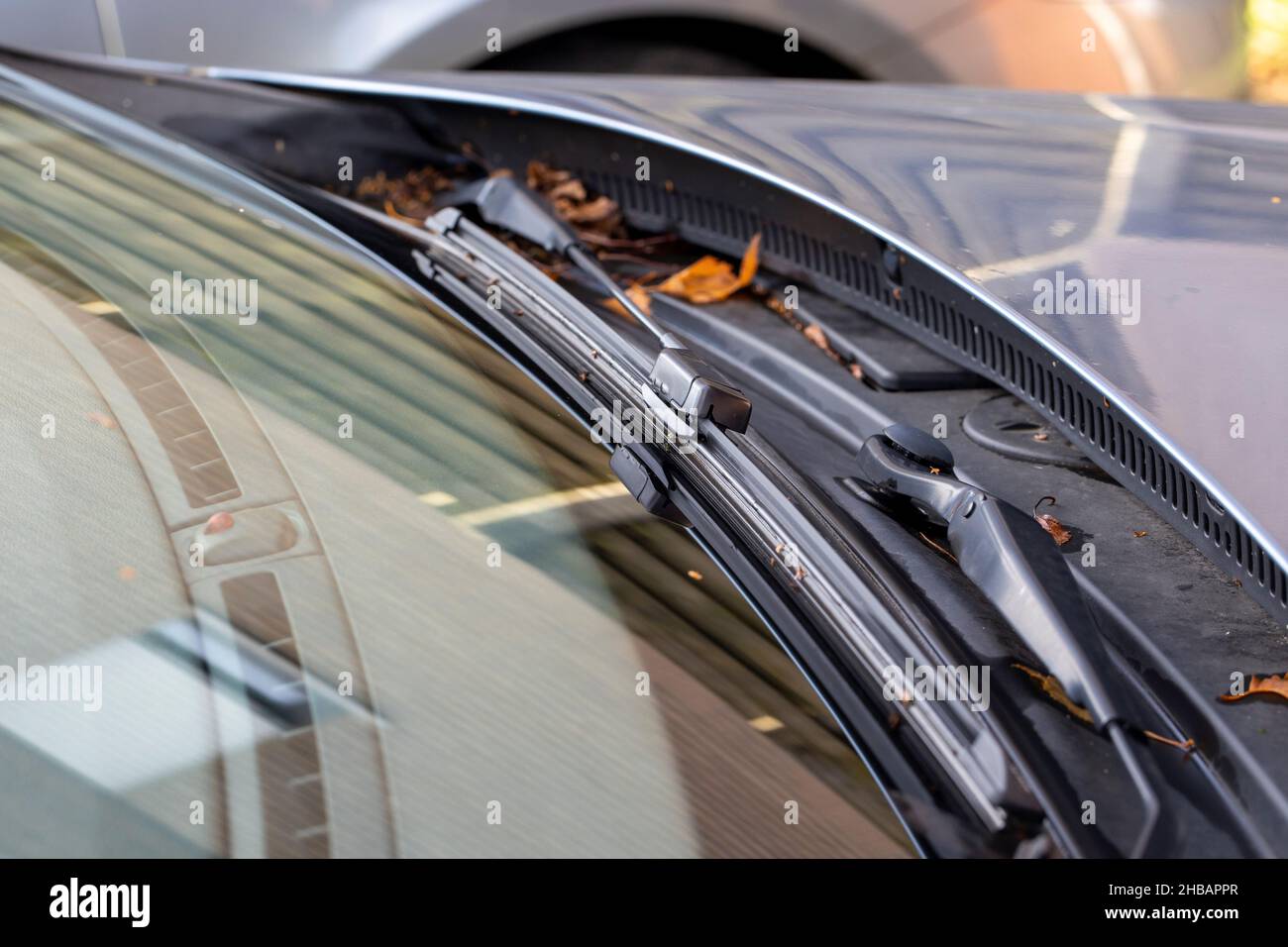A portrait of a windshield wiper of a car standing at its lowest of ...