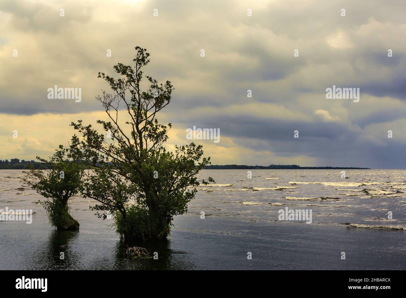 View of the Lough Neagh in the North Ireland Stock Photo - Alamy