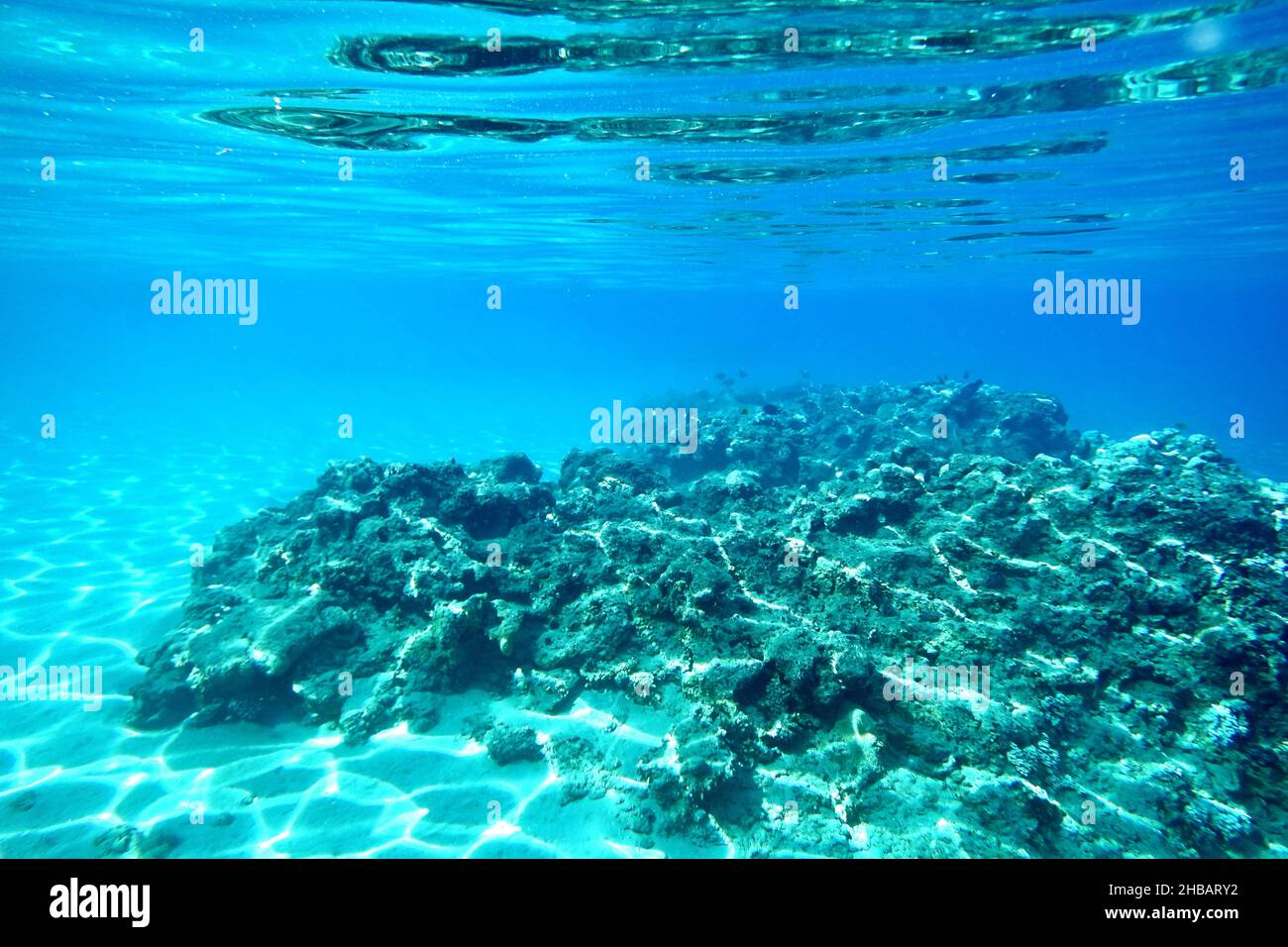 Beautiful underwater background, sun beams Stock Photo - Alamy