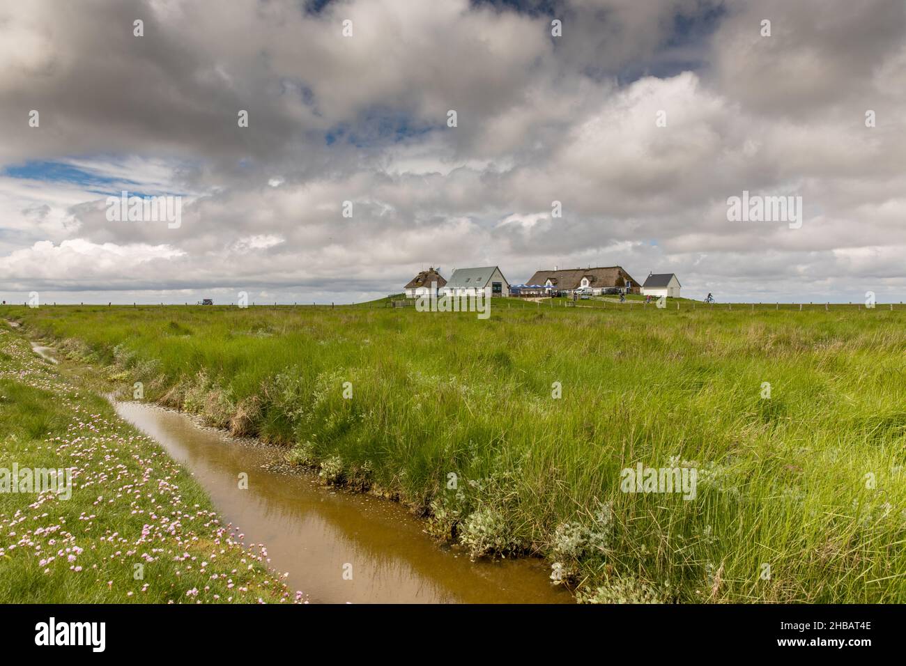 Wadehavet hi-res stock photography and images - Alamy