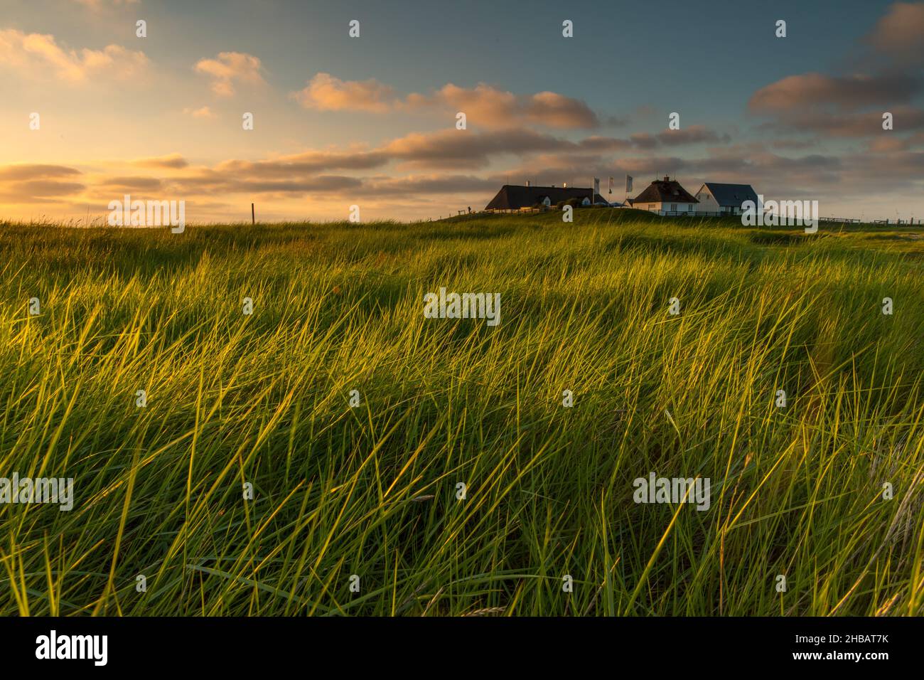 Sunset an der Hamburger Hallig Stock Photo - Alamy