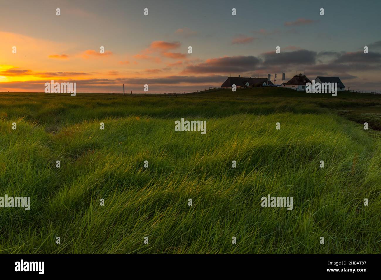 Hallig hi-res stock photography and images - Alamy