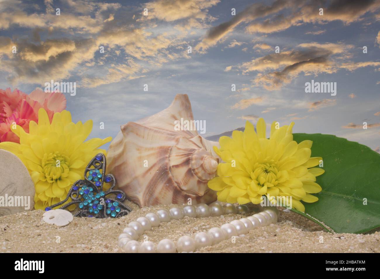 Flowers and Sea Shells on Sand With Sunset Background Stock Photo - Alamy