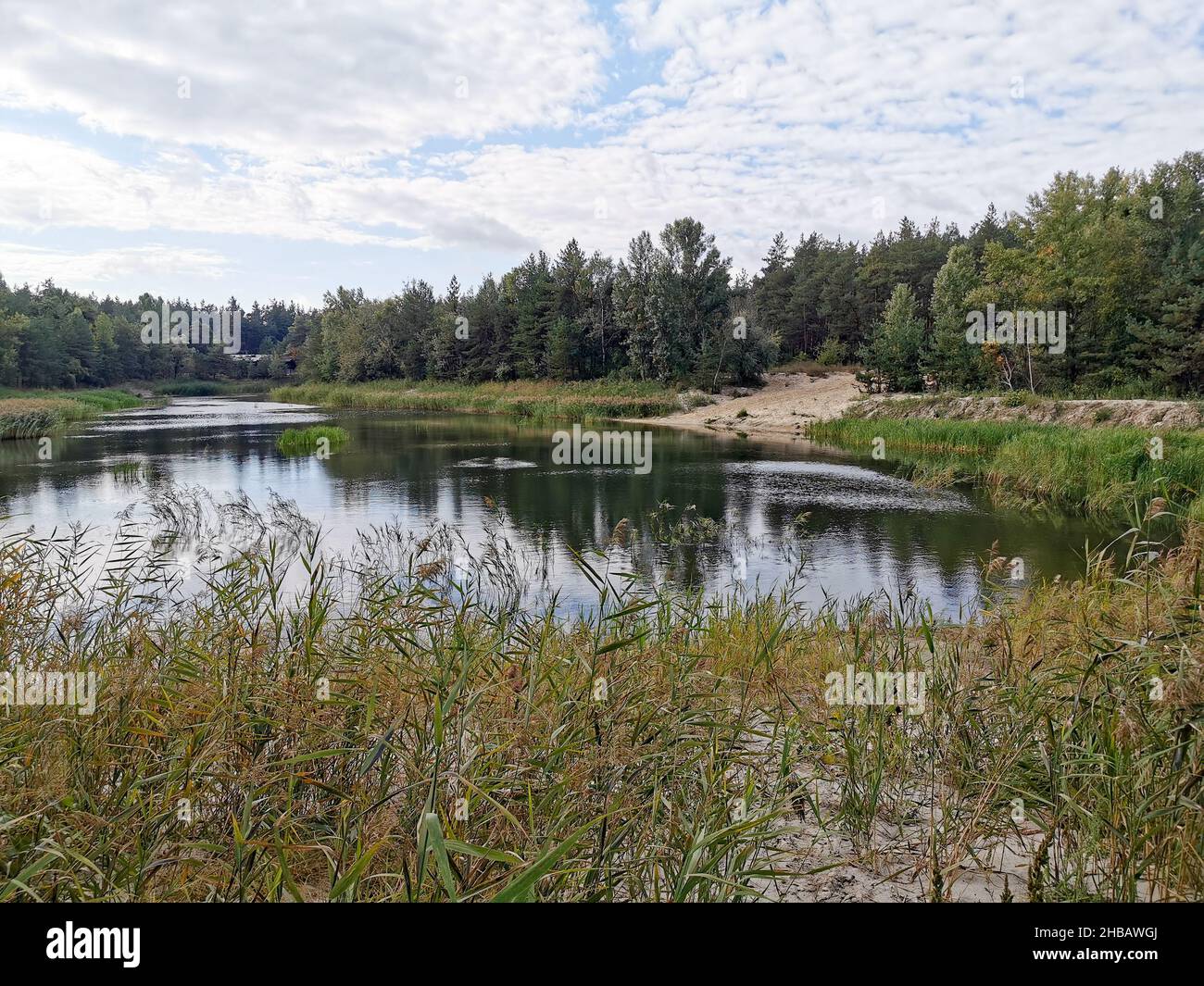The murmuring waters of the Tokovsky waterfall in Ukraine. This is the ...