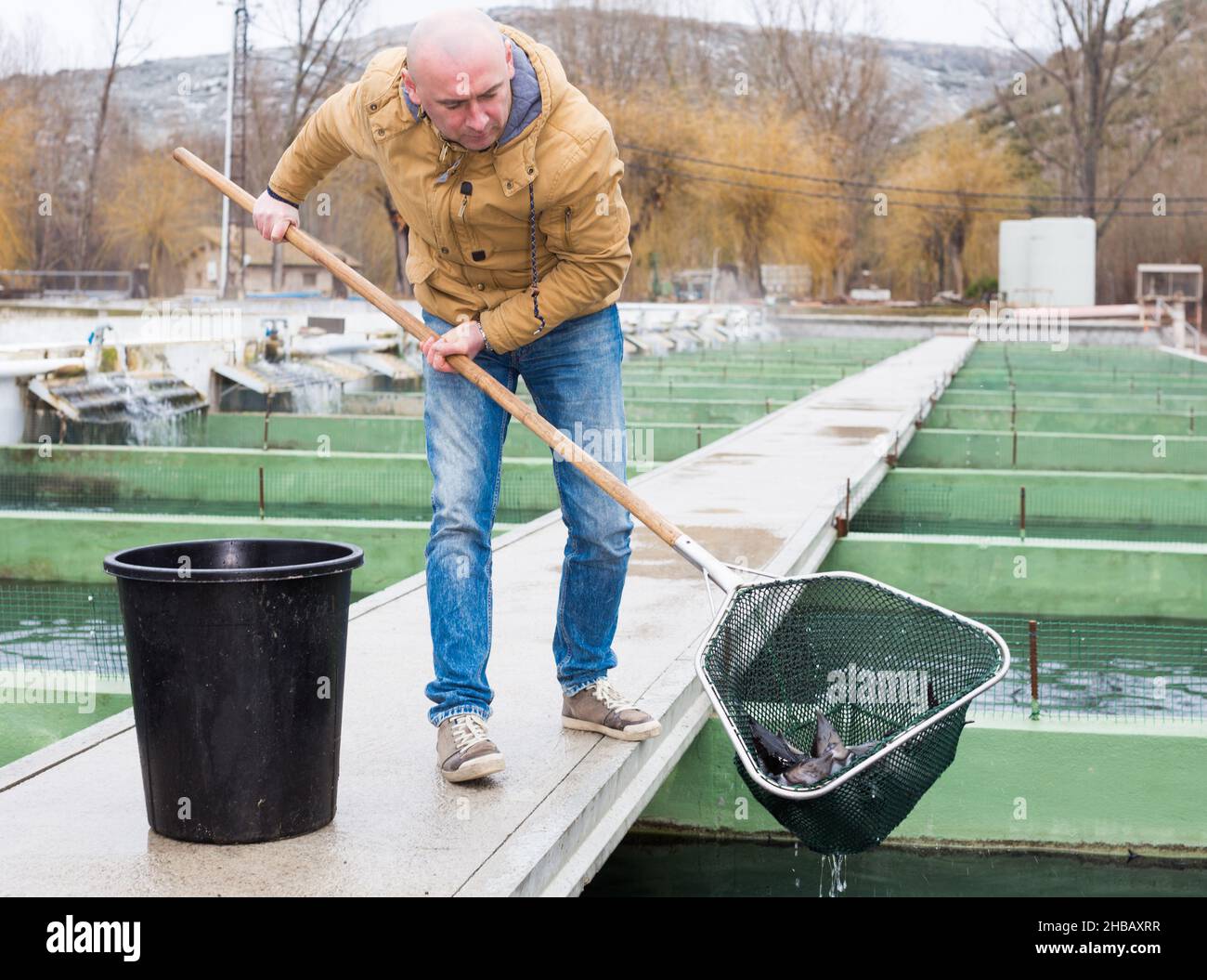 Fish farming husbandry hi-res stock photography and images - Alamy