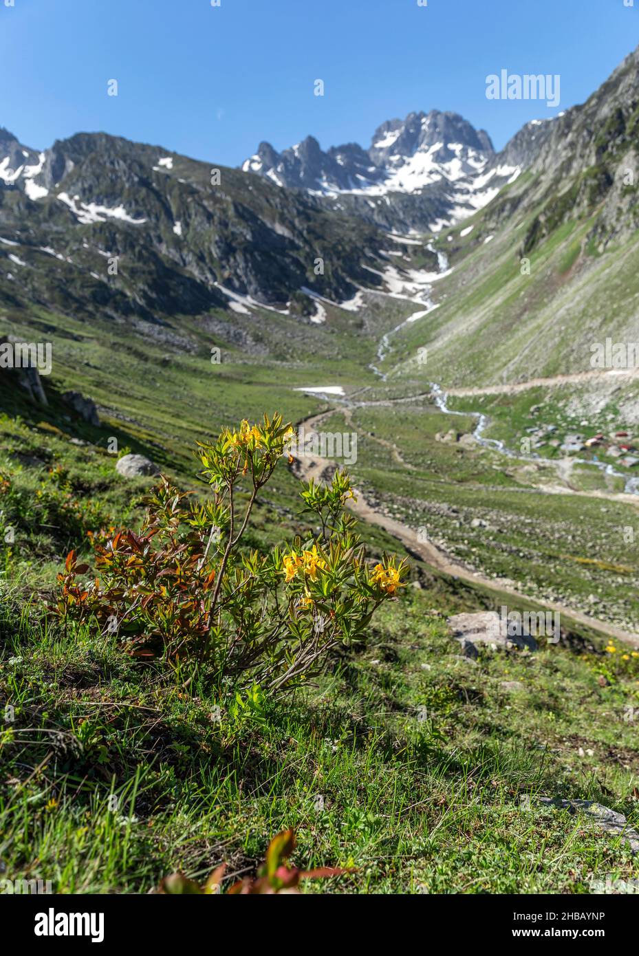 Rize is a valley in the north of the Altiparmak Mountains. The first ...