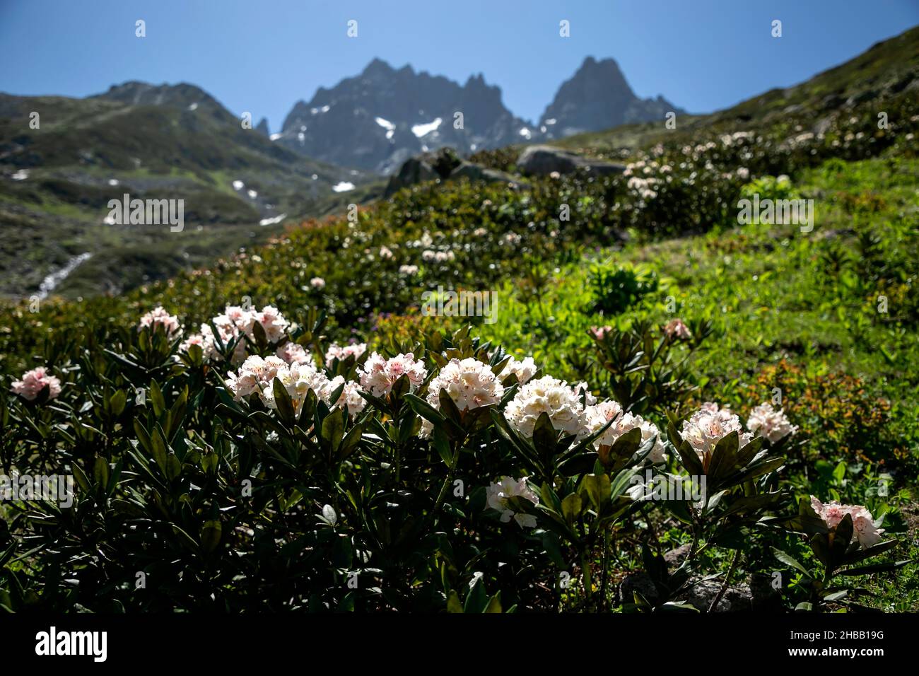 Rize is a valley in the north of the Altiparmak Mountains. The first ...
