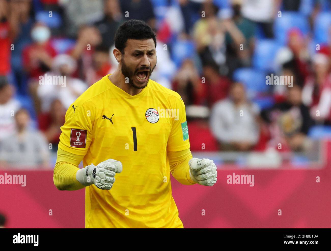 Mohammed el shenawy hi-res stock photography and images - Alamy