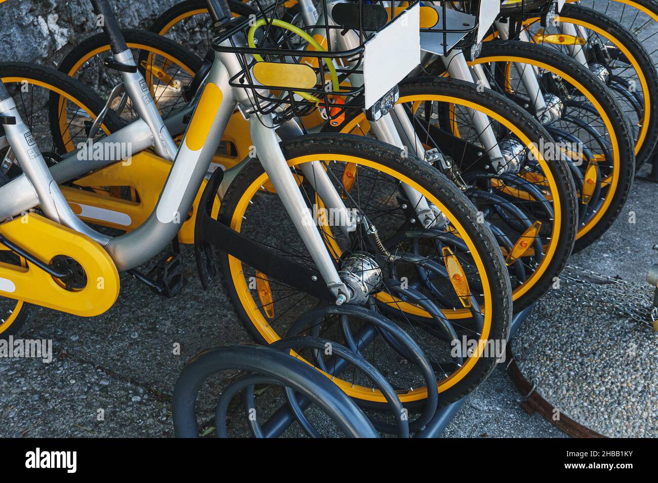 Bicycles for rent are parked in a row. An environmentally friendly and ...