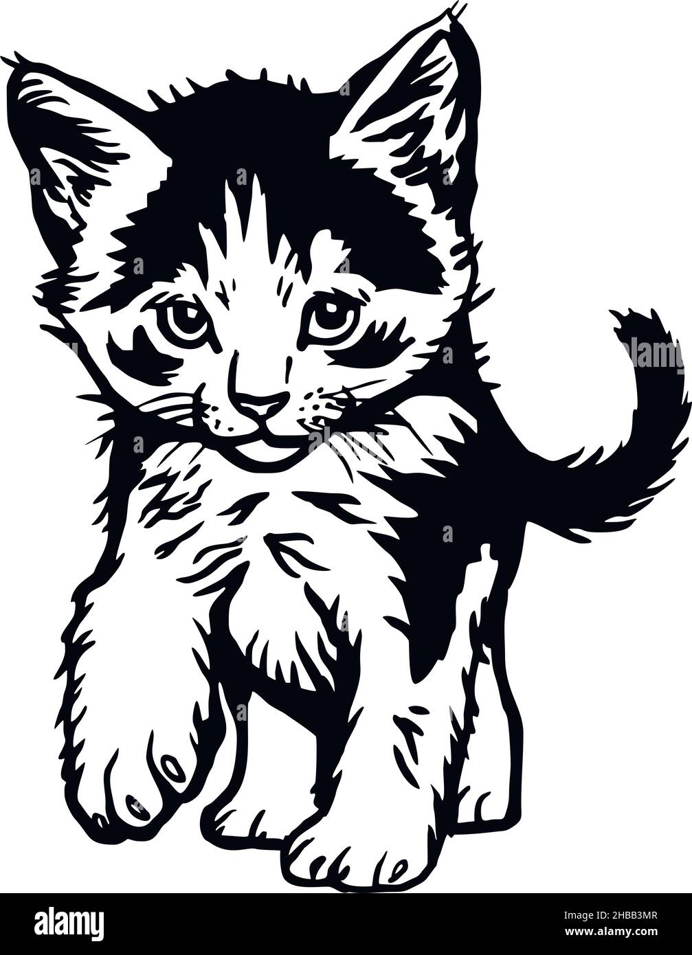 Cat, Peeking kitten - Cheerful kitty isolated on white - vector stock ...