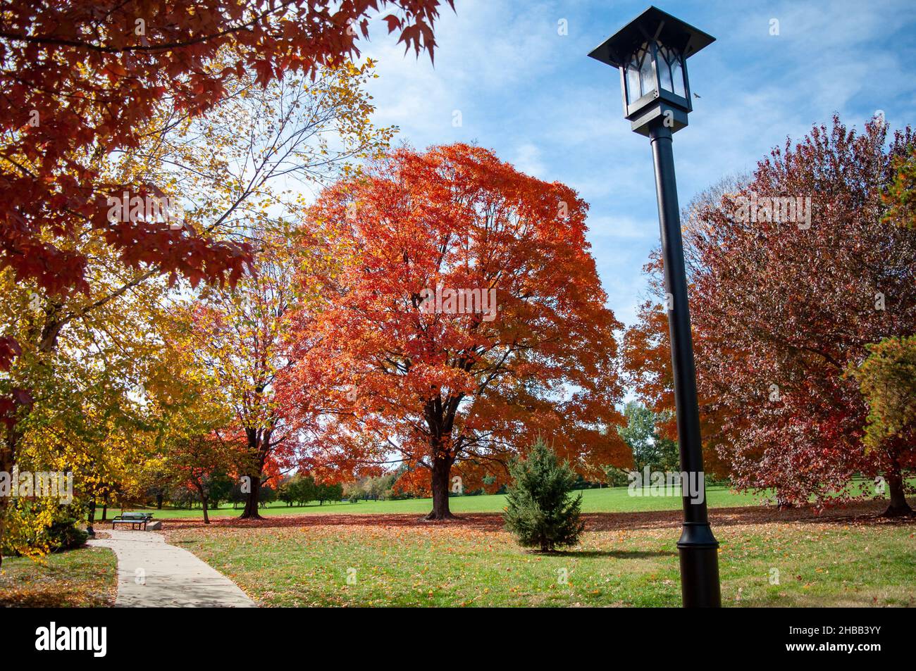 Beautiful landscape of autumn trees in a park Stock Photo - Alamy