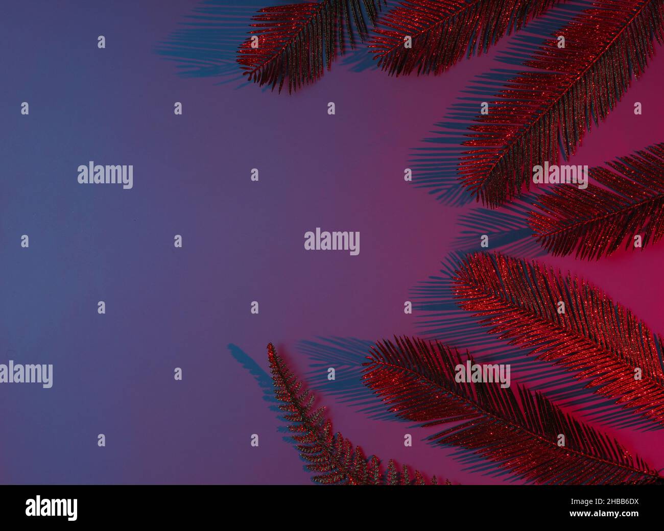 Creative pop art tropical concept. Golden palm leaves on blue-red neon ...