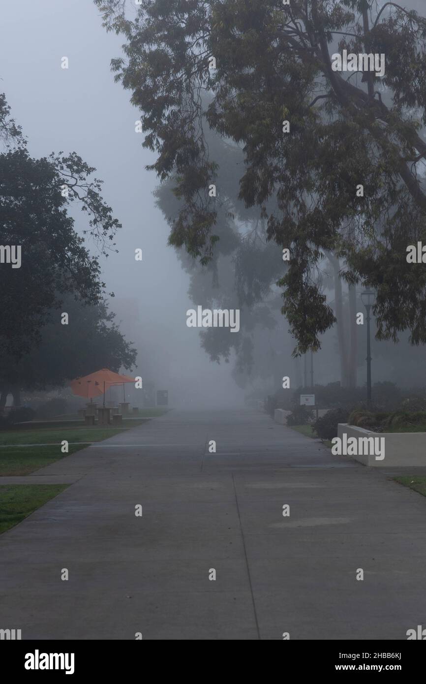 Fog blankets the campus of Occidental College in Los Angeles Stock ...