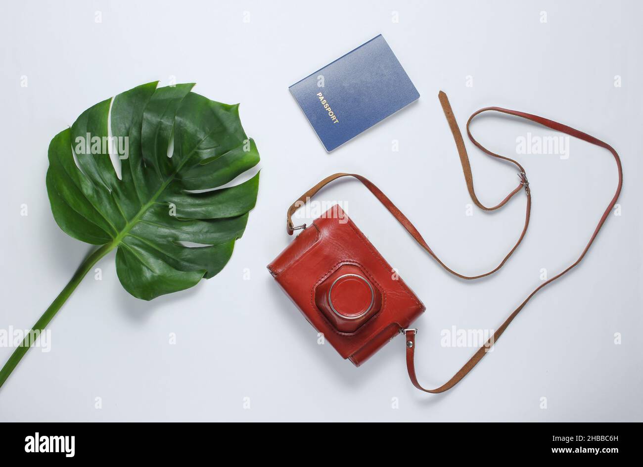 Traveled minimalistic still life. Monstera leaf, retro camera in cover ...