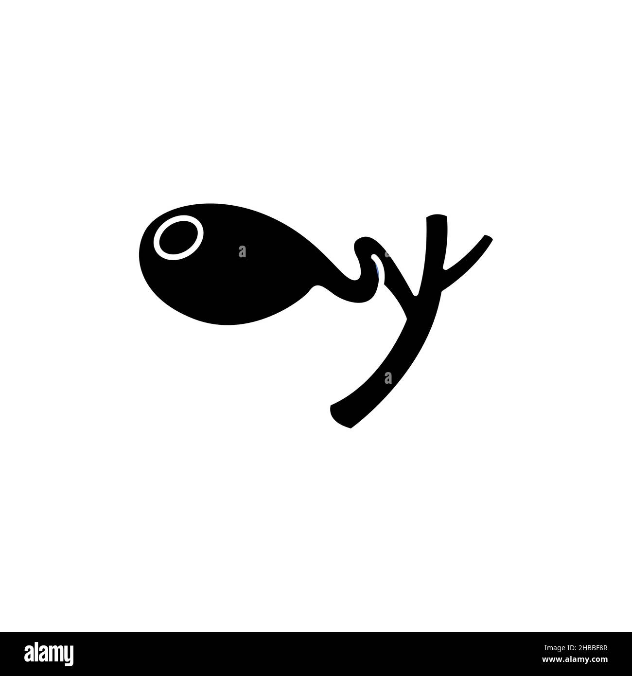 Human organ gall bladder color line icon. Pictogram for web page ...