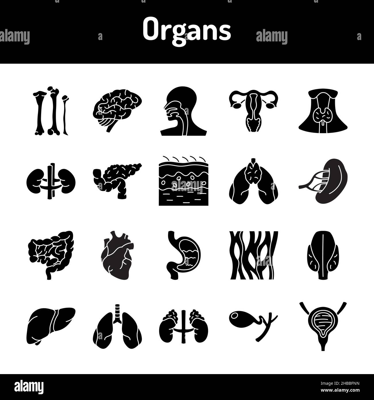 Organs line icons set. Isolated vector element. Outline pictograms for ...