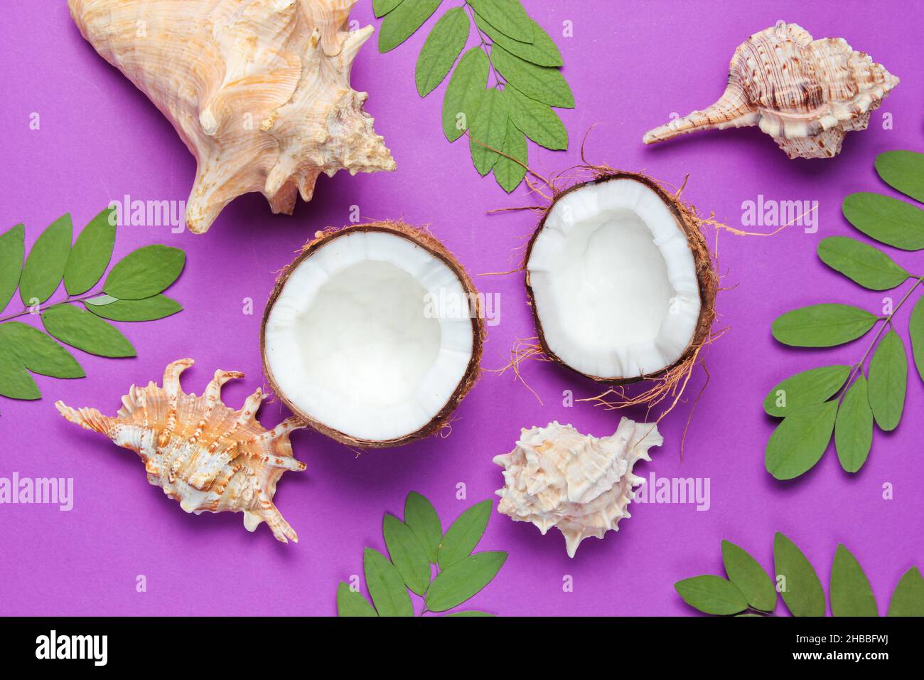 Two halves of chopped coconut on purple background with green leaves ...
