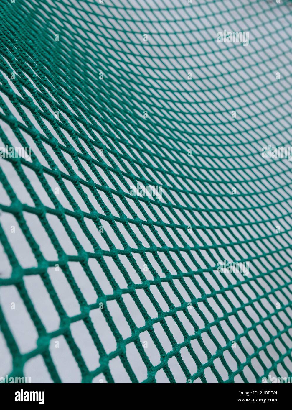 Green abstract pattern net grid Stock Photo - Alamy