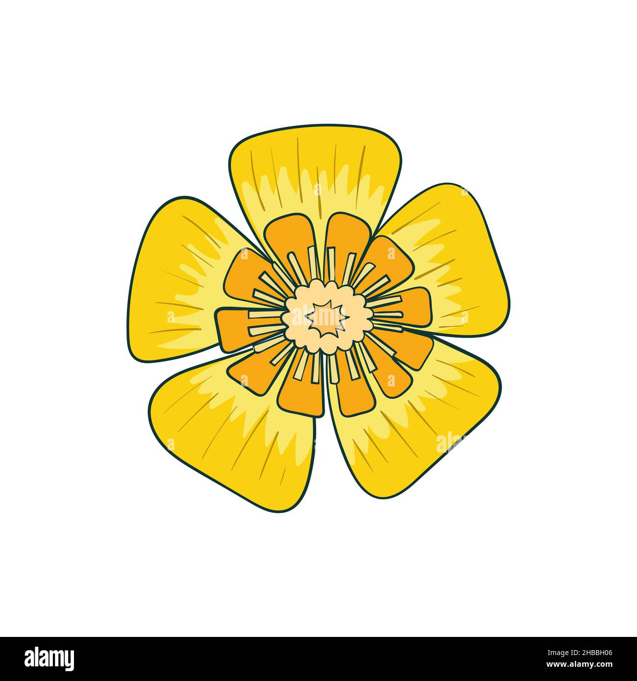Nymphaea alba Stock Vector Images - Alamy