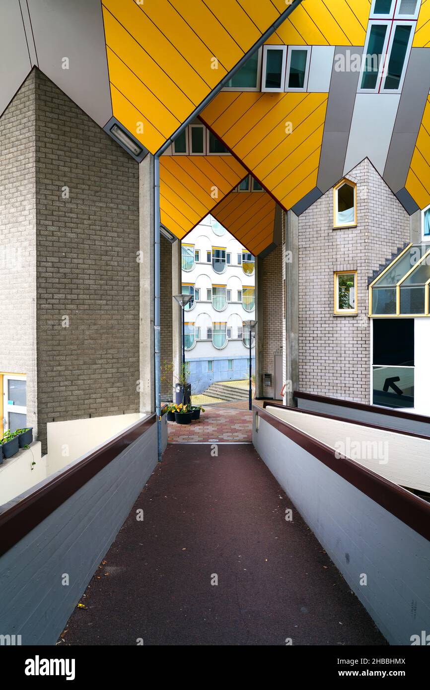 ROTTERDAM, NETHERLANDS -10 NOV 2021- View of the yellow Cube Houses ...